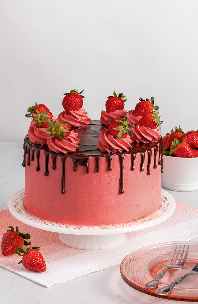 CAKE BAKING & DECORATING TUTORIALS – Kootek